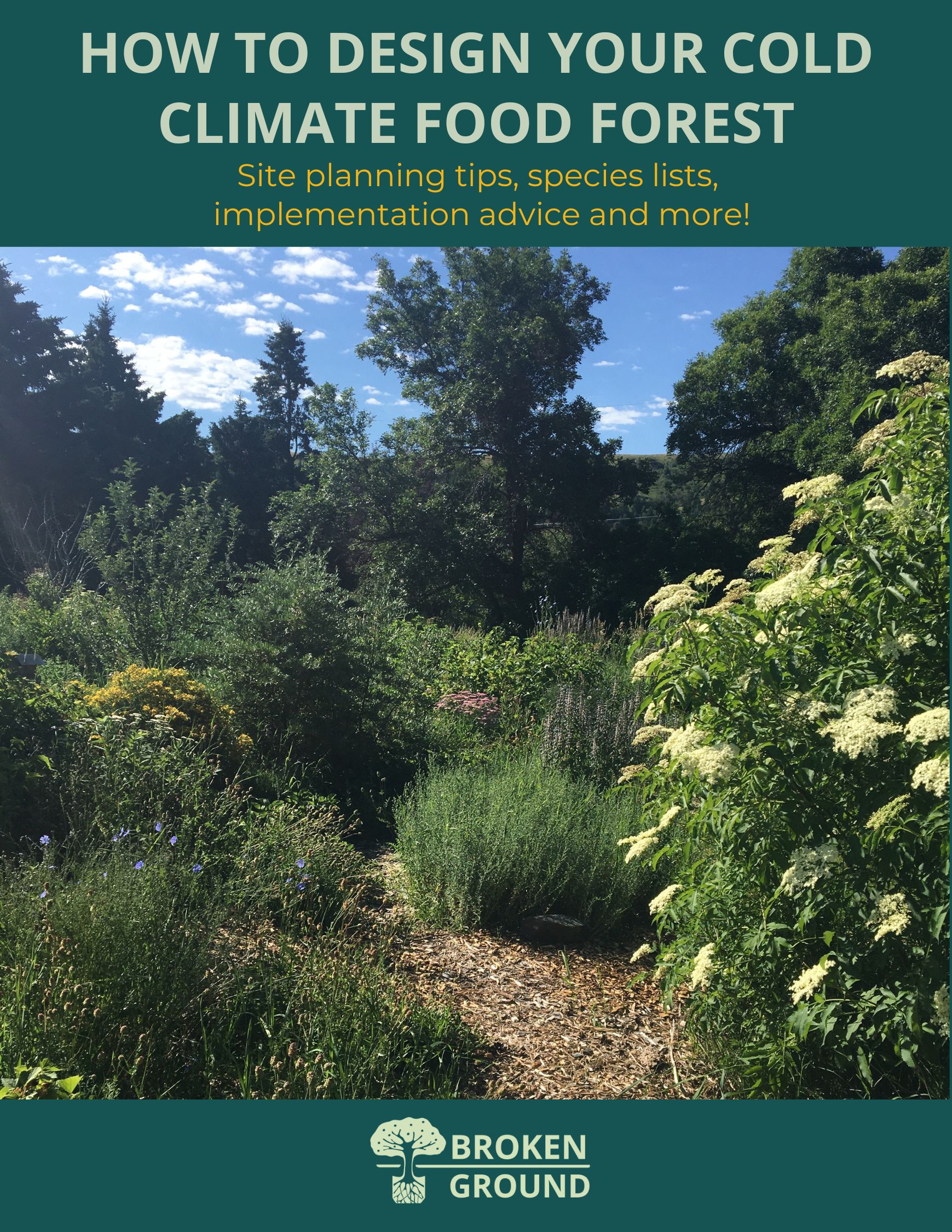 Food Forest eBook - Broken Ground Permaculture
